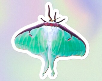 Luna Moth Sticker - Etsy