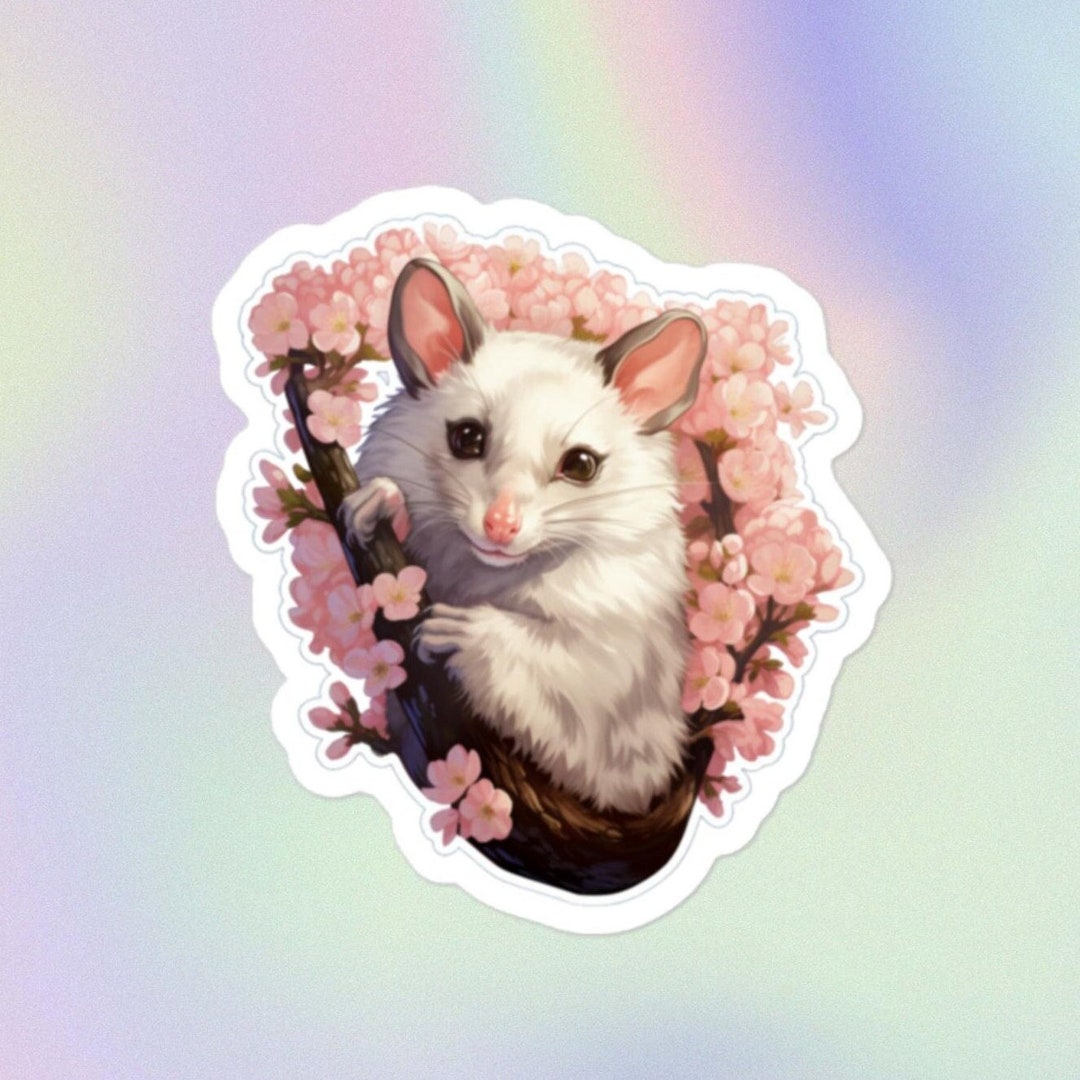 Possum in a Cherry Blossom Tree Sticker - Etsy
