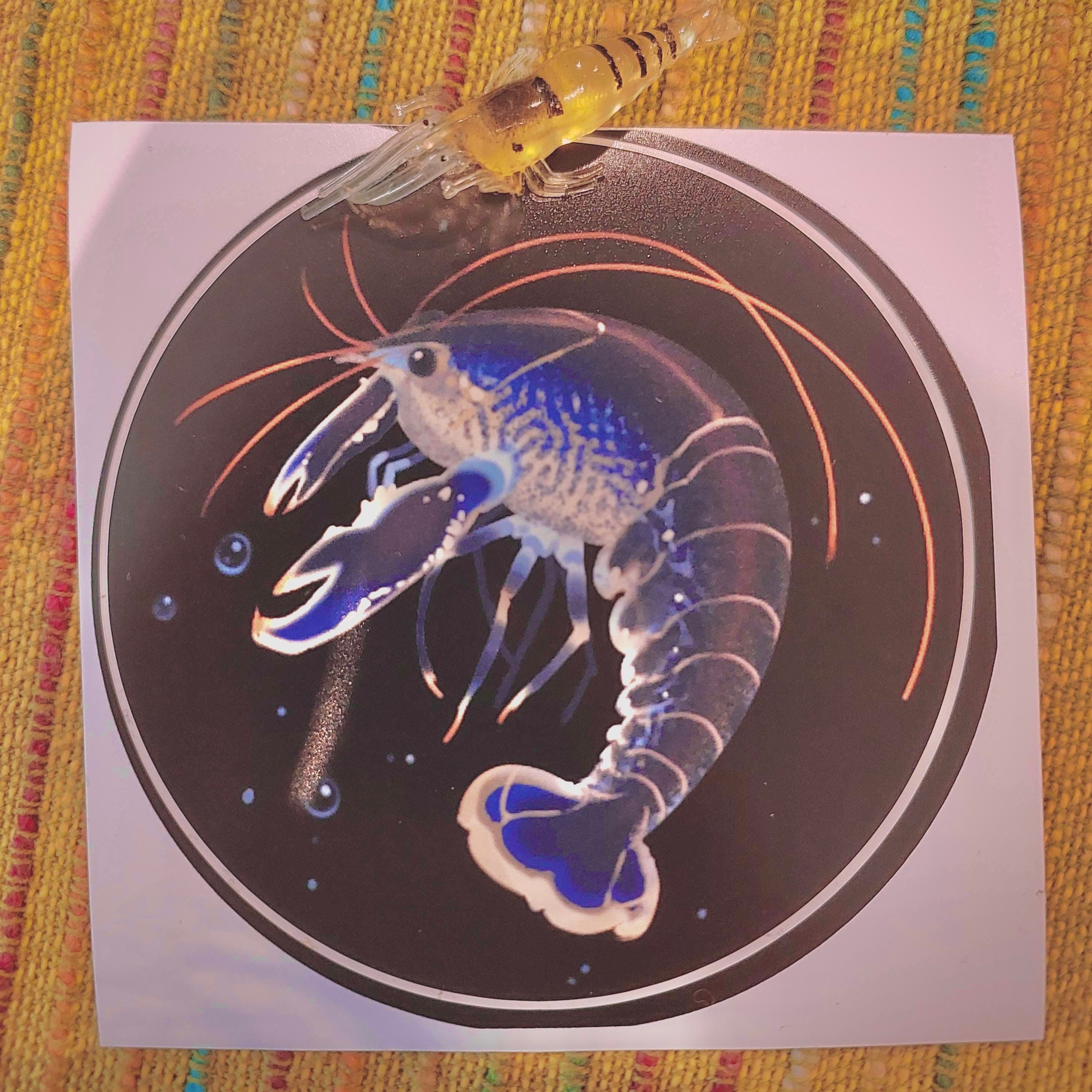 Crustacean Circle Stickers - Shrimp, Lobster, Fairy Shrimp, and ...