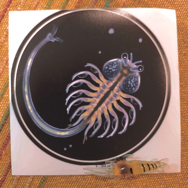 Crustacean Circle Stickers - Shrimp, Lobster, Fairy Shrimp, and ...