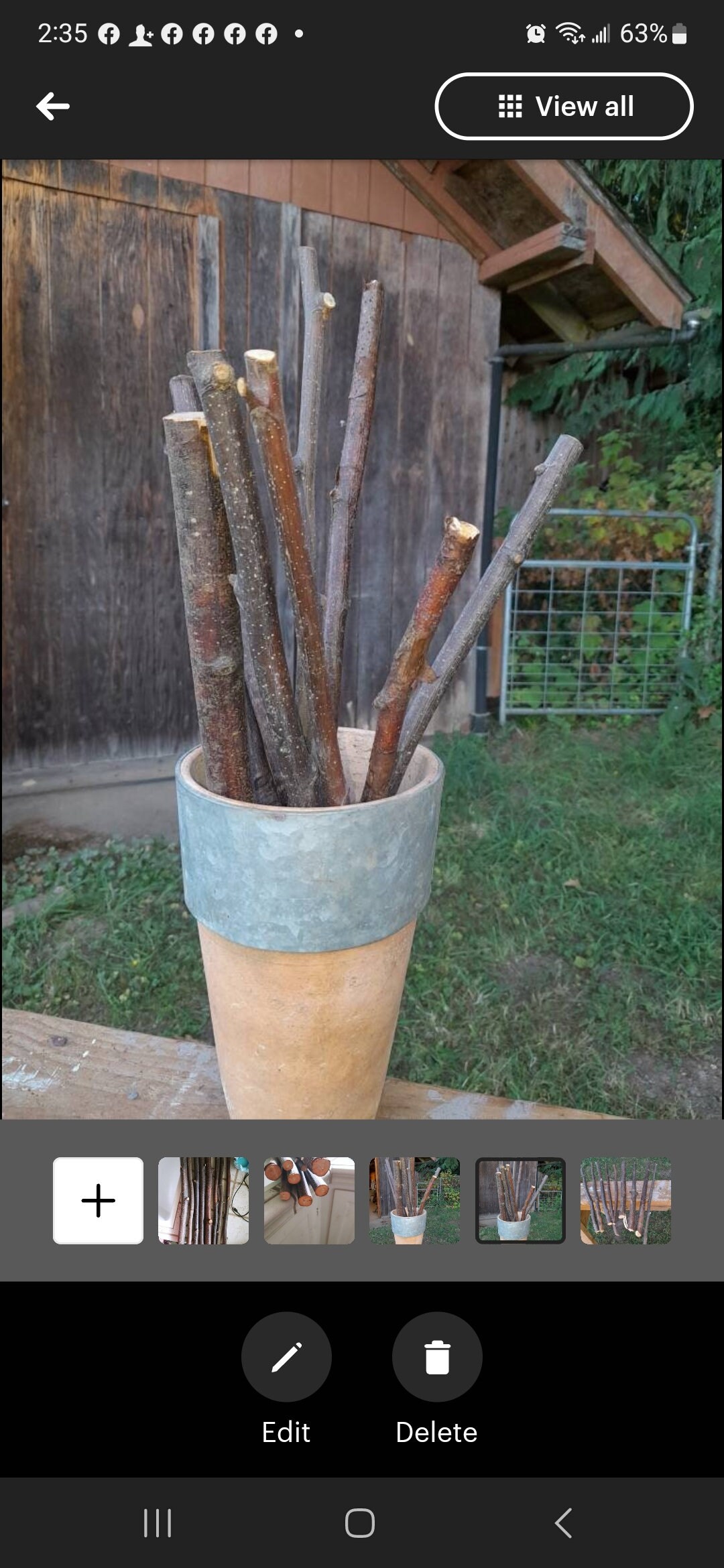 Alder Branches From Red Alder, Alnus Rubra, X7 14-18 Inches Long 1/2-1 ...
