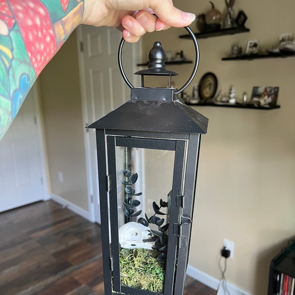 Spooky Terrarium - Etsy