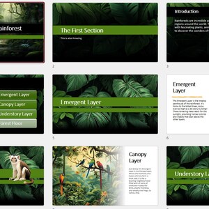 Powerpoint Template - Rainforest Theme (plus Some Clipart) - Etsy