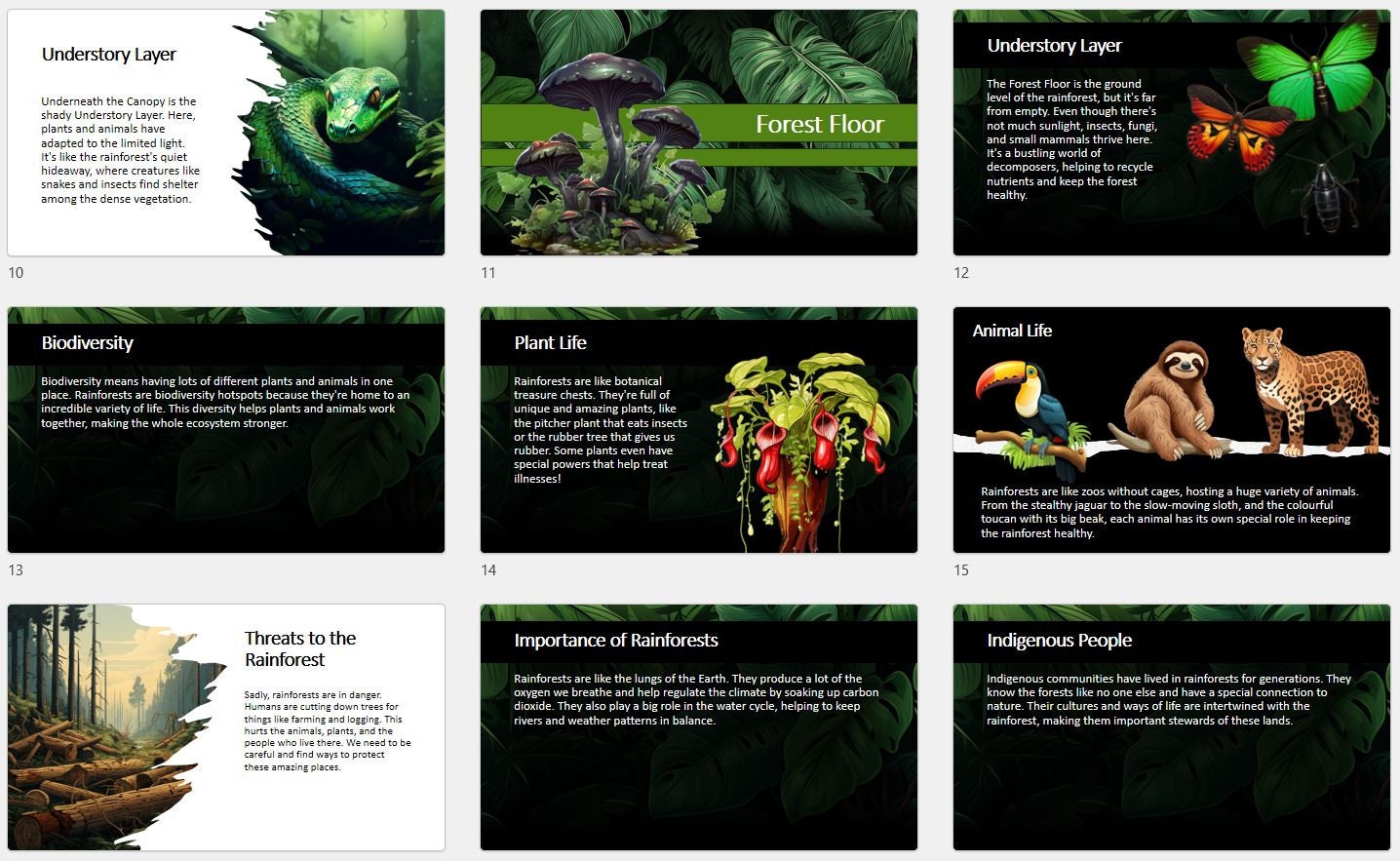 Powerpoint Template - Rainforest Theme (plus Some Clipart) - Etsy