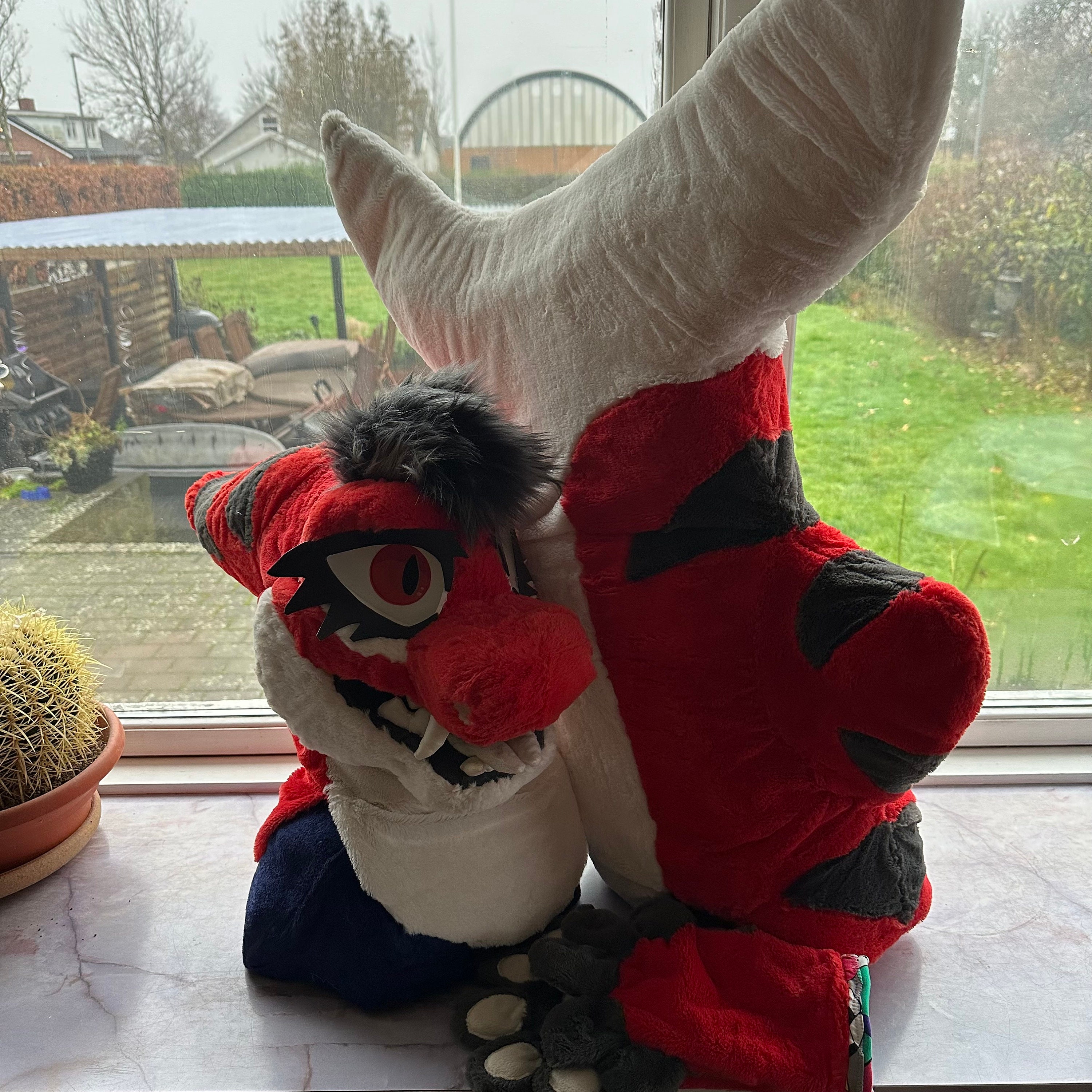 Shark Dog Fursuit Premade - Etsy