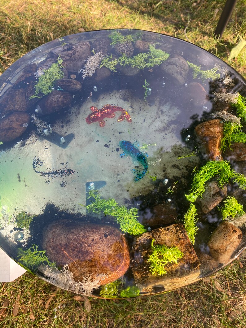 Koi Pond Resin Table - Etsy