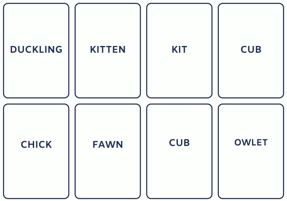 Baby Animal Flash Cards 16 Unique Baby Animals printable Instant ...