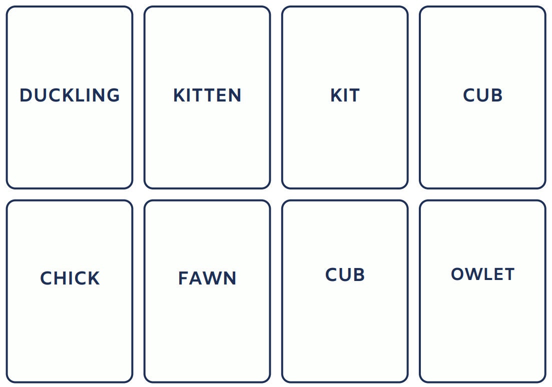 Baby Animal Flash Cards 16 Unique Baby Animals printable Instant ...