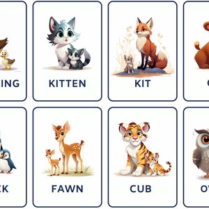 Baby Animal Flash Cards - 16 Unique Baby Animals -printable - Instant ...