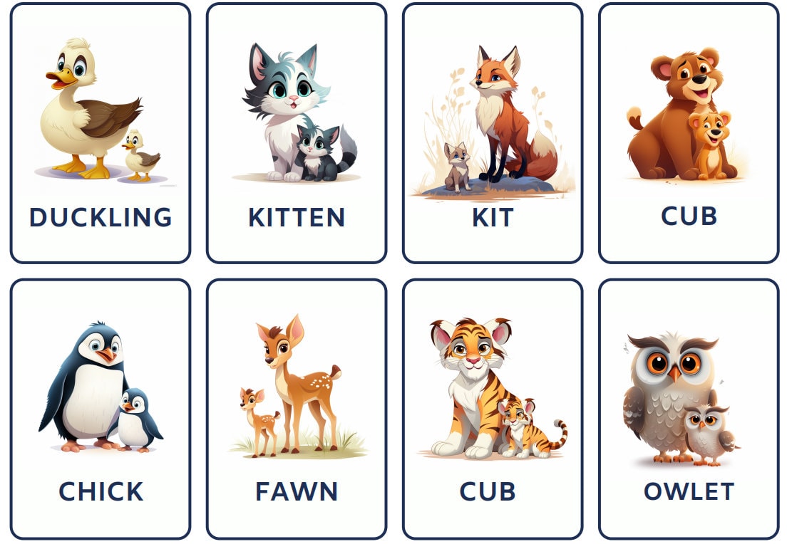Baby Animal Flash Cards 16 Unique Baby Animals printable Instant ...