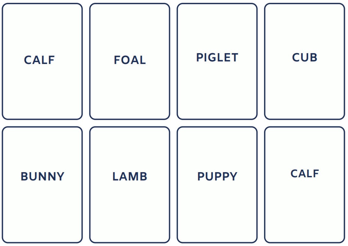 Baby Animal Flash Cards 16 Unique Baby Animals printable Instant ...