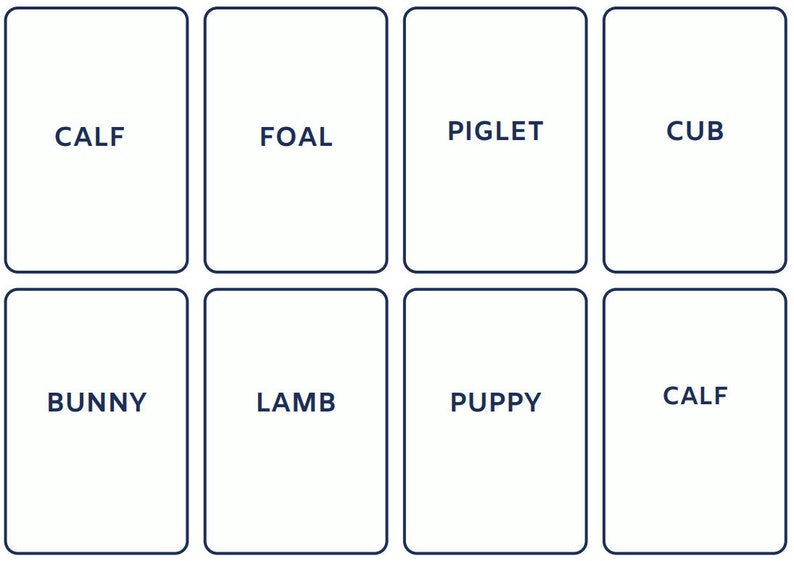 Baby Animal Flash Cards - 16 Unique Baby Animals -printable - Instant ...