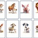 Baby Animal Flash Cards 16 Unique Baby Animals printable - Etsy