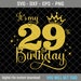 It's My 29th Birthday SVG, 29 Years Old Birthday Girl Svg, 29 Years Old ...