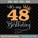 It's My 48th Birthday SVG, 48 Years Old Birthday Girl Svg, 48 Years Old ...