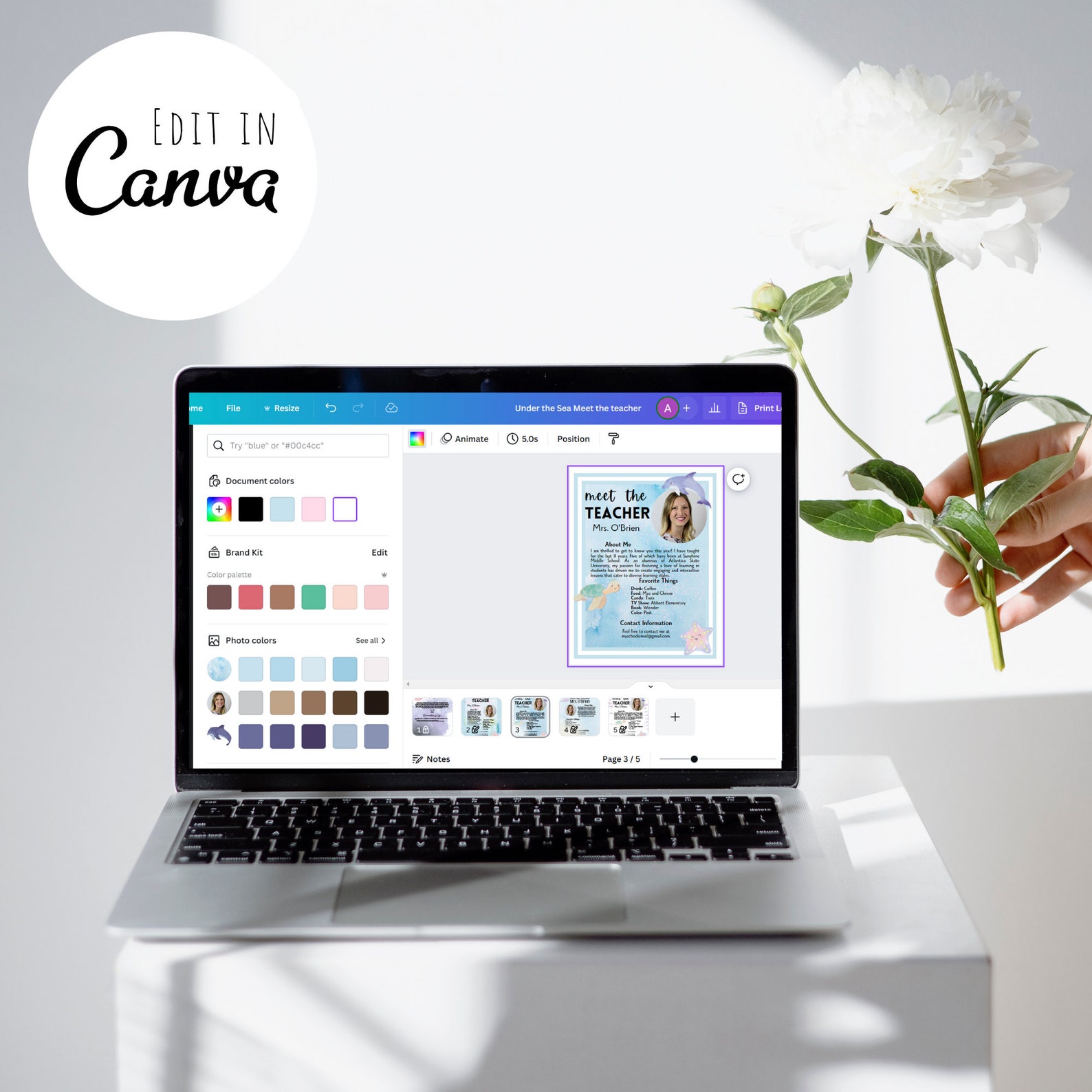 Under the Sea Meet the Teacher, Ocean Theme Meet the Teacher, Under the ...