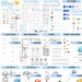 Under the Sea Preschool Morning Work Printable, Homeschool Preschool ...