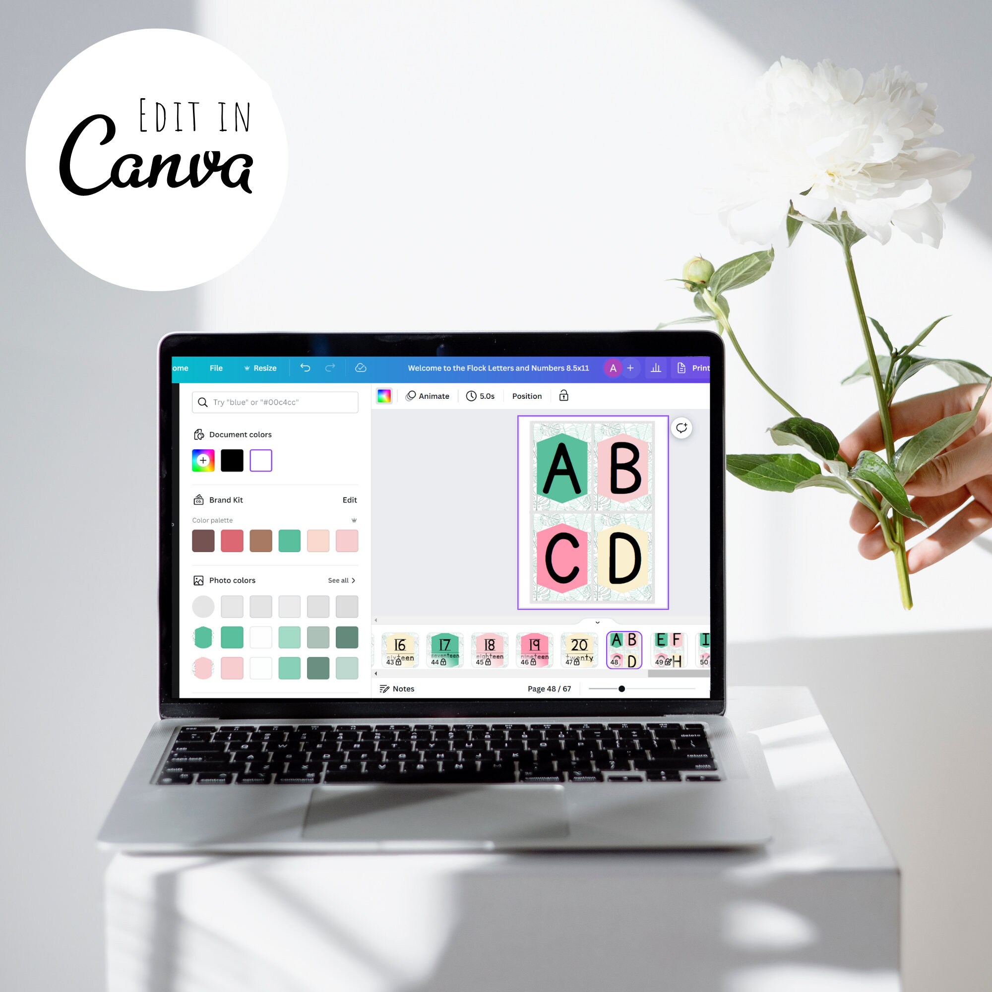 Welcome to the Flock - Tropical Flamingo Theme- Letters and Numbers ...