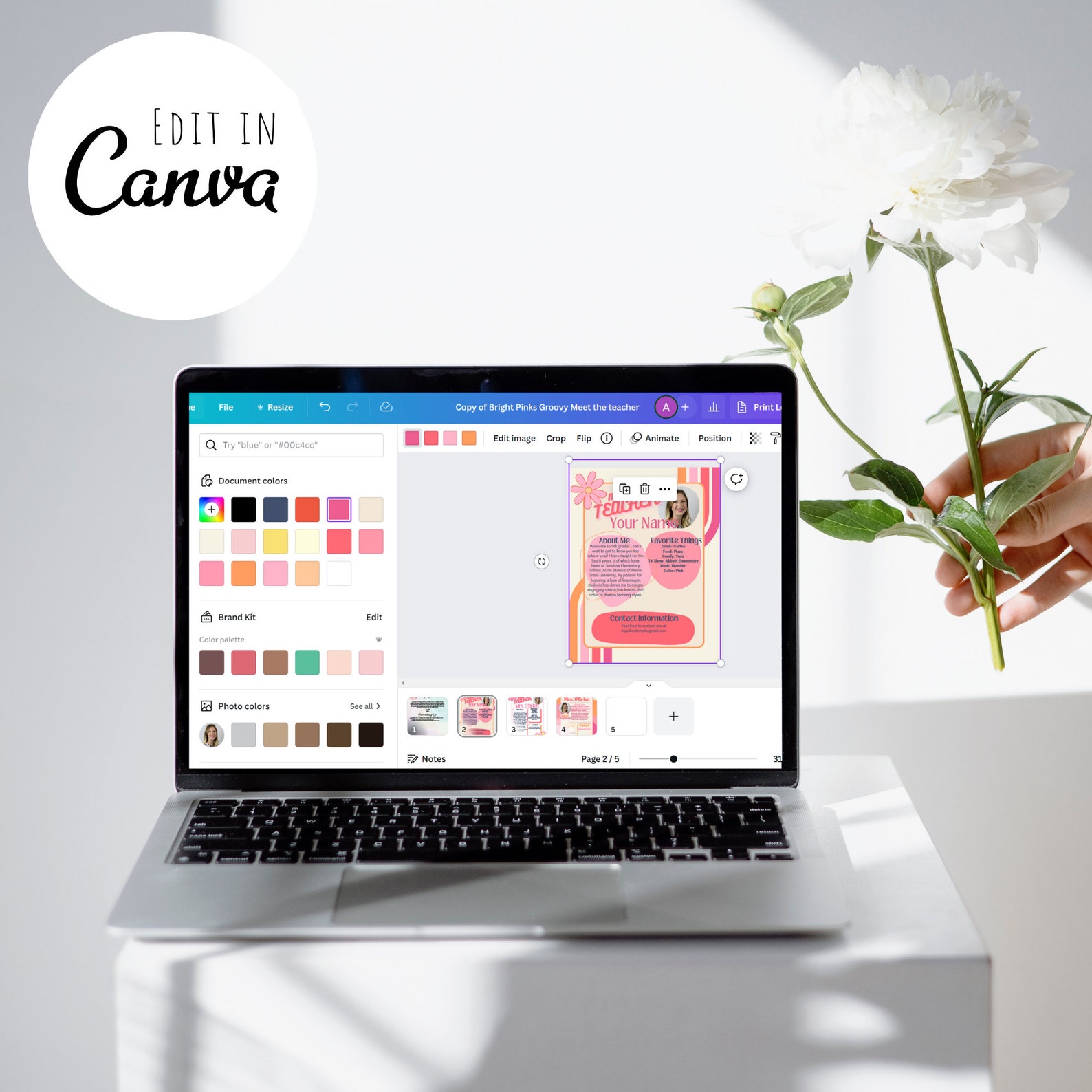 Bright Pink Meet the Teacher Template, Groovy Meet the Teacher, Back to ...