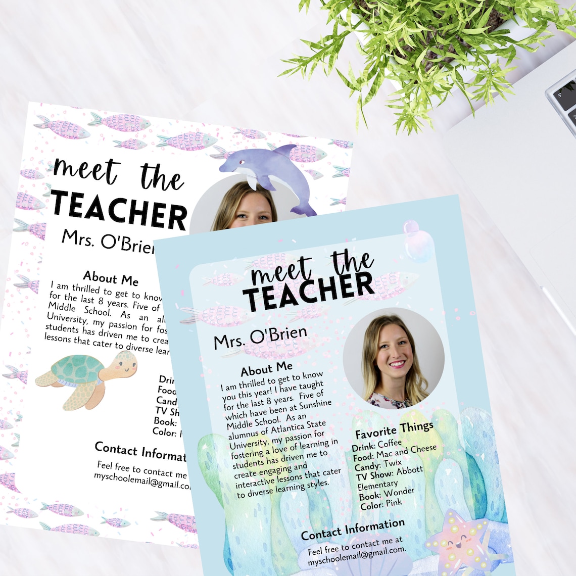 Under the Sea Meet the Teacher, Ocean Theme Meet the Teacher, Under the ...