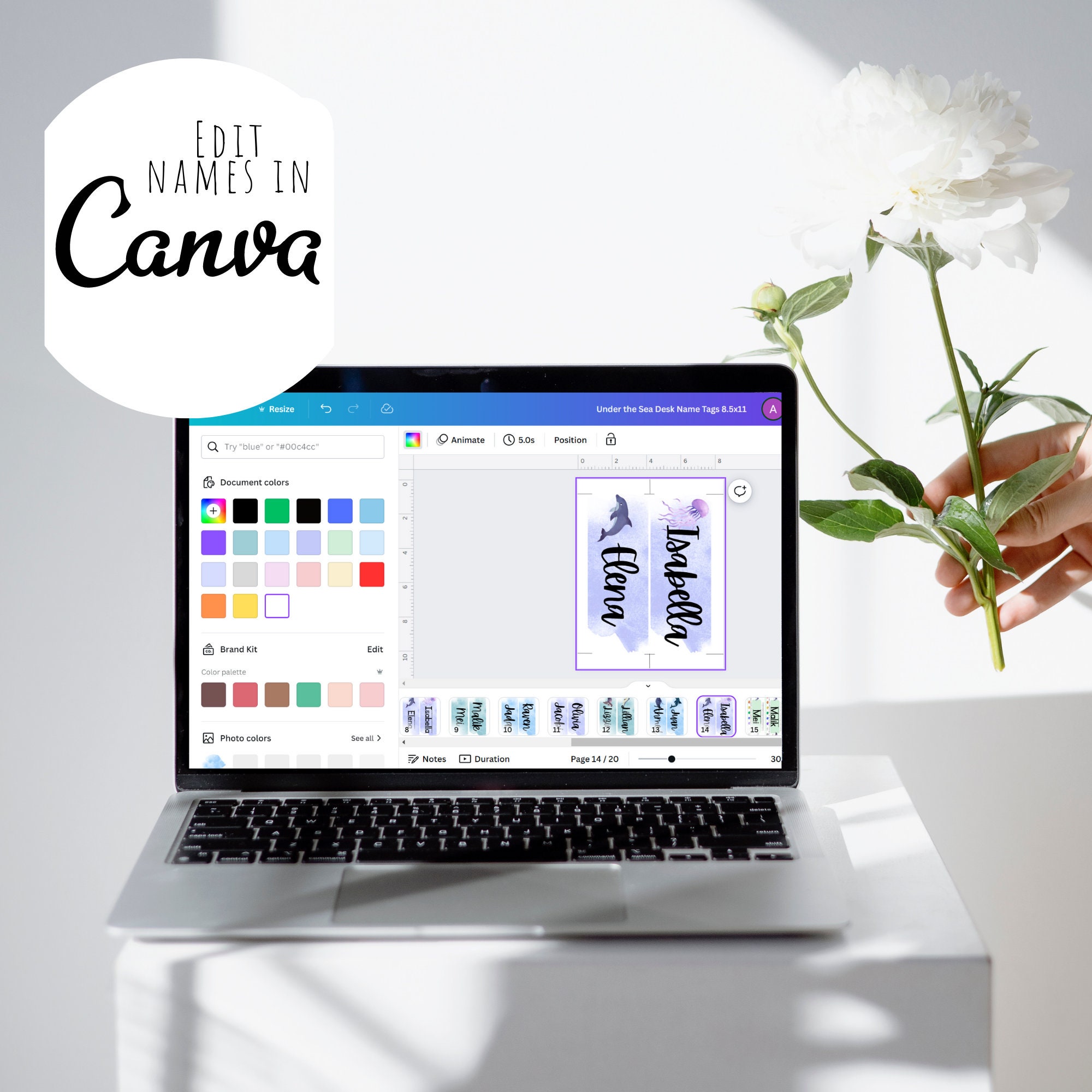 Under the Sea Student Desk Name Tags, Ocean Student Name Plates ...