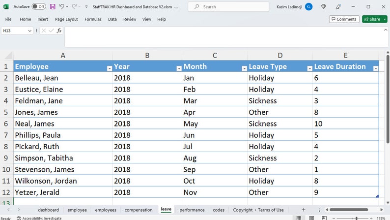 Premium Human Resources Excel Dashboard and Database - Etsy