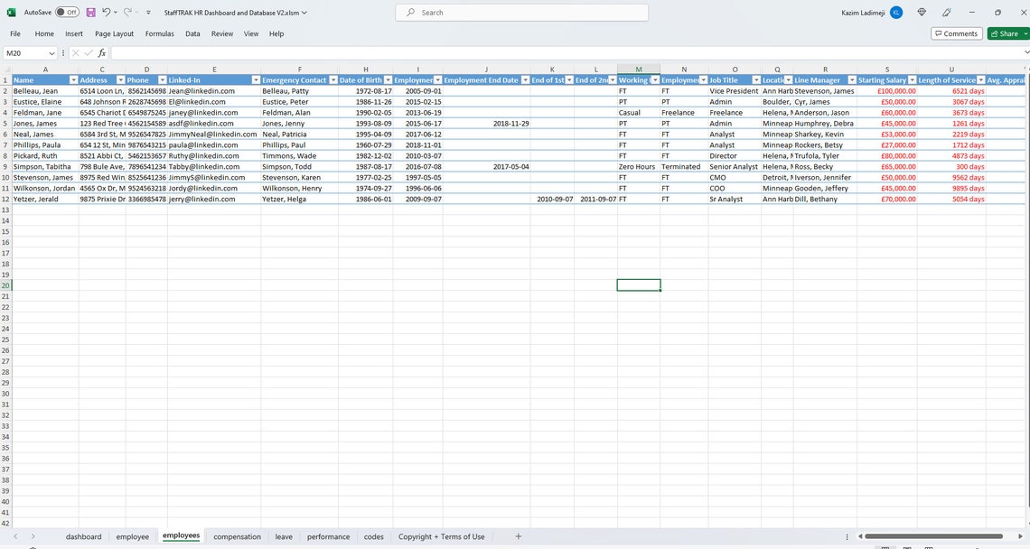 Premium Human Resources Excel Dashboard and Database - Etsy