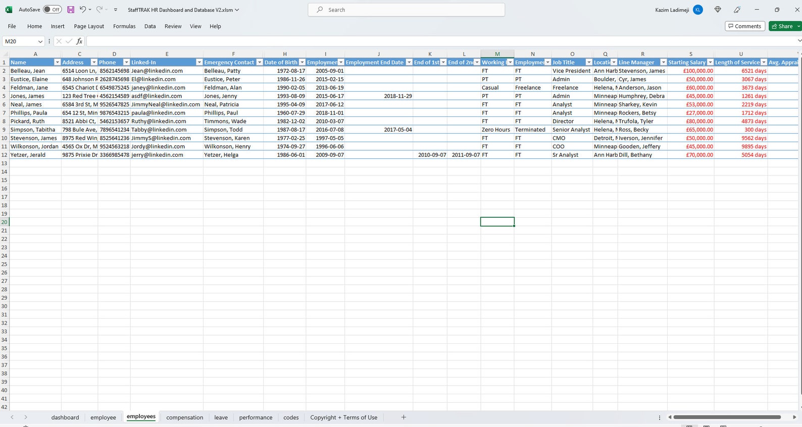 Premium Human Resources Excel Dashboard and Database - Etsy
