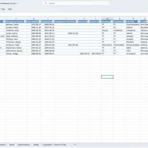Premium Human Resources Excel Dashboard and Database - Etsy