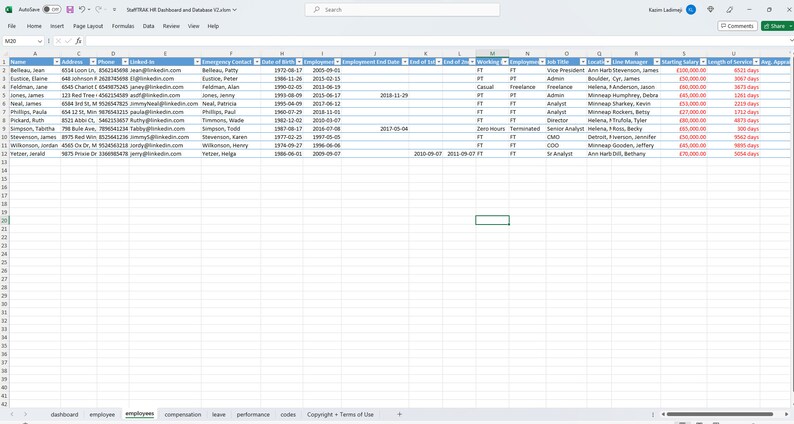 Premium Human Resources Excel Dashboard and Database - Etsy