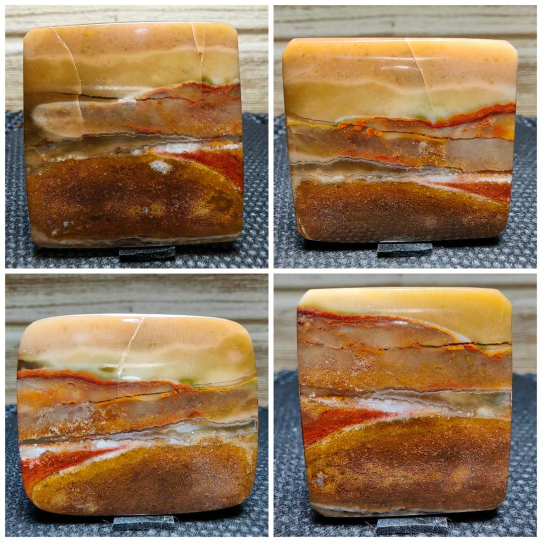 Landscape Scenic Opalized Wood - Petrified Wood - Gift Stone Healing - Etsy