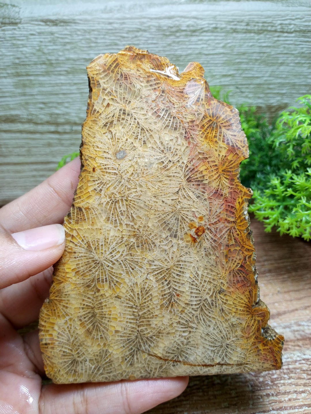 SLAB/RAW