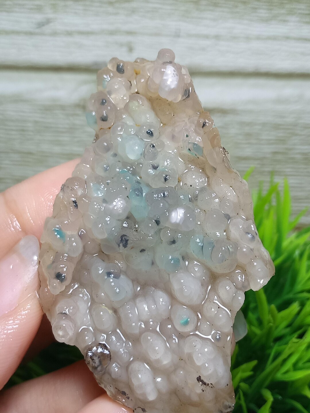 Slab Botryoidal>>blue Gemsilica Bacaan. Blue Opalized Wood. Blue Opal ...