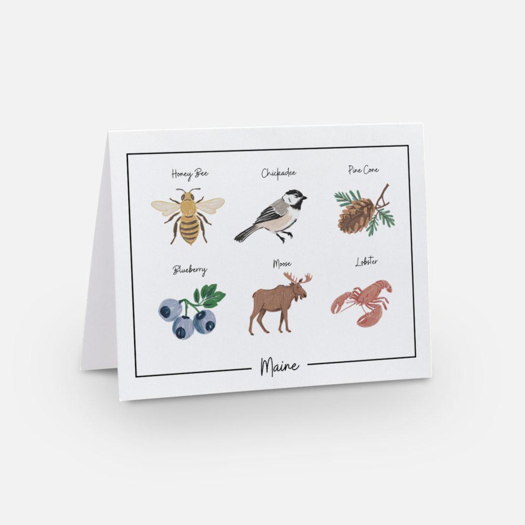 Notecards (5pk) - Maine State Symbols - Etsy