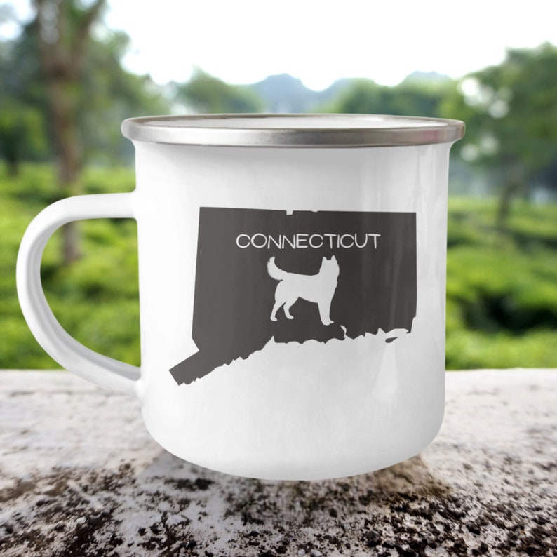 Custom Map Mugs Connecticut, Personalized Graphics Symbols Colors Text ...