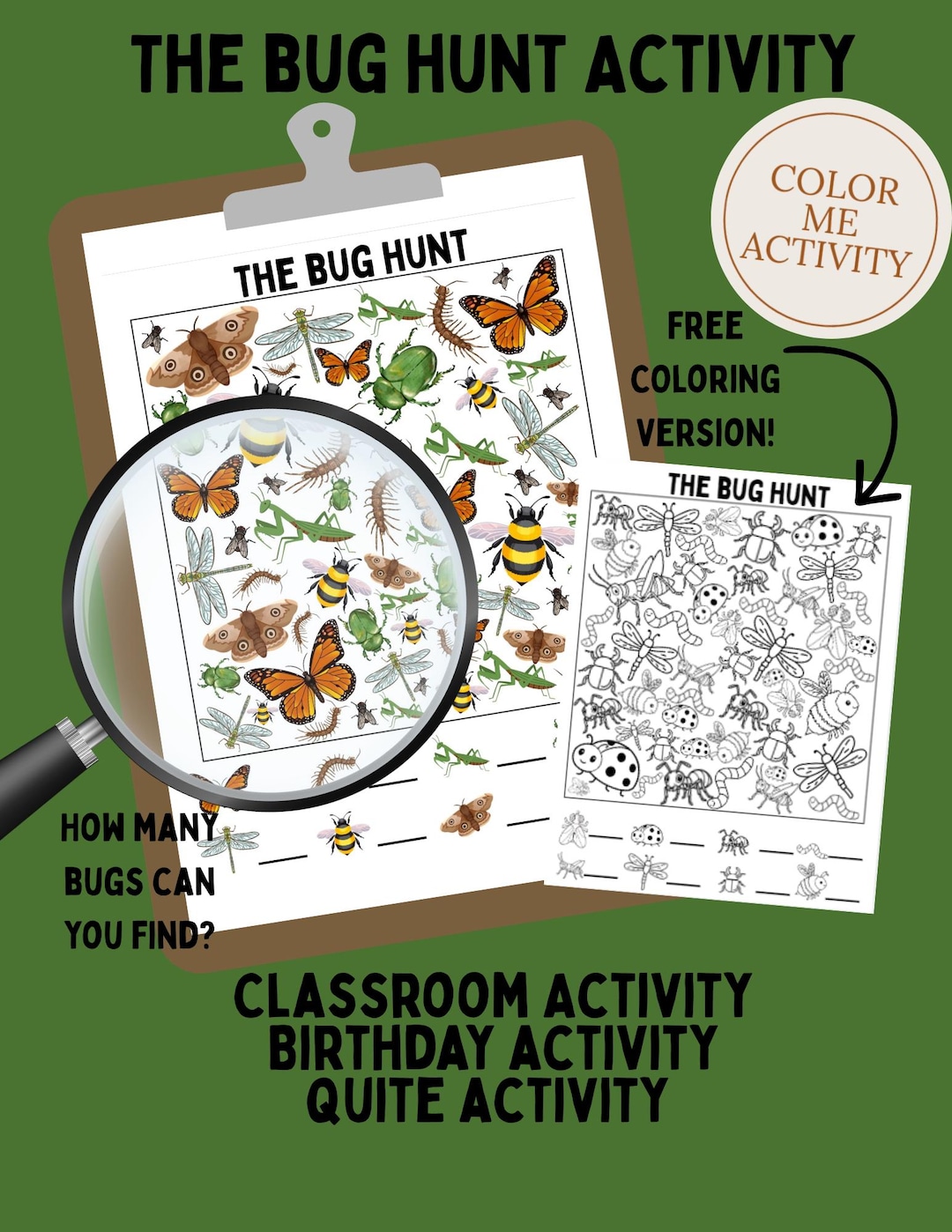 The Bug Hunt Seek and Find Activity Page, Birthday Fun, Classroom ...