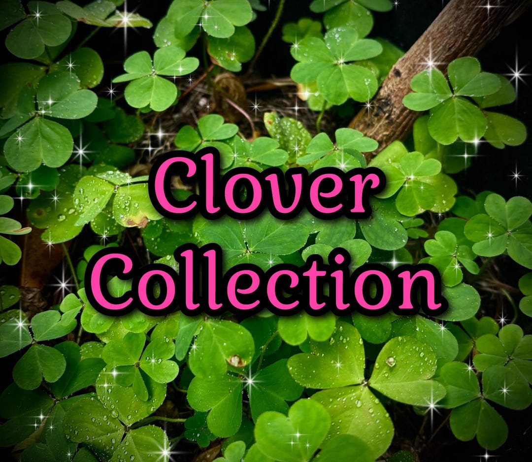Clover Collection~ Take a Look at All of My Lucky Four Leaf Clovers - Etsy