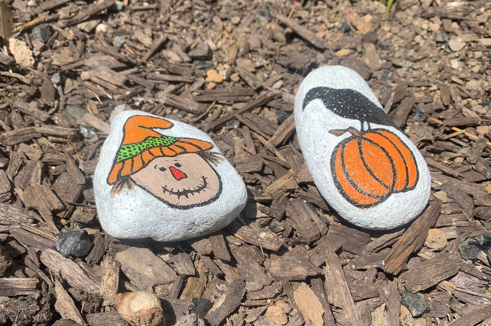 Scarecrow and Raven Crow Pumpkin, Hand Painted Rock Set of 2, Autumn ...