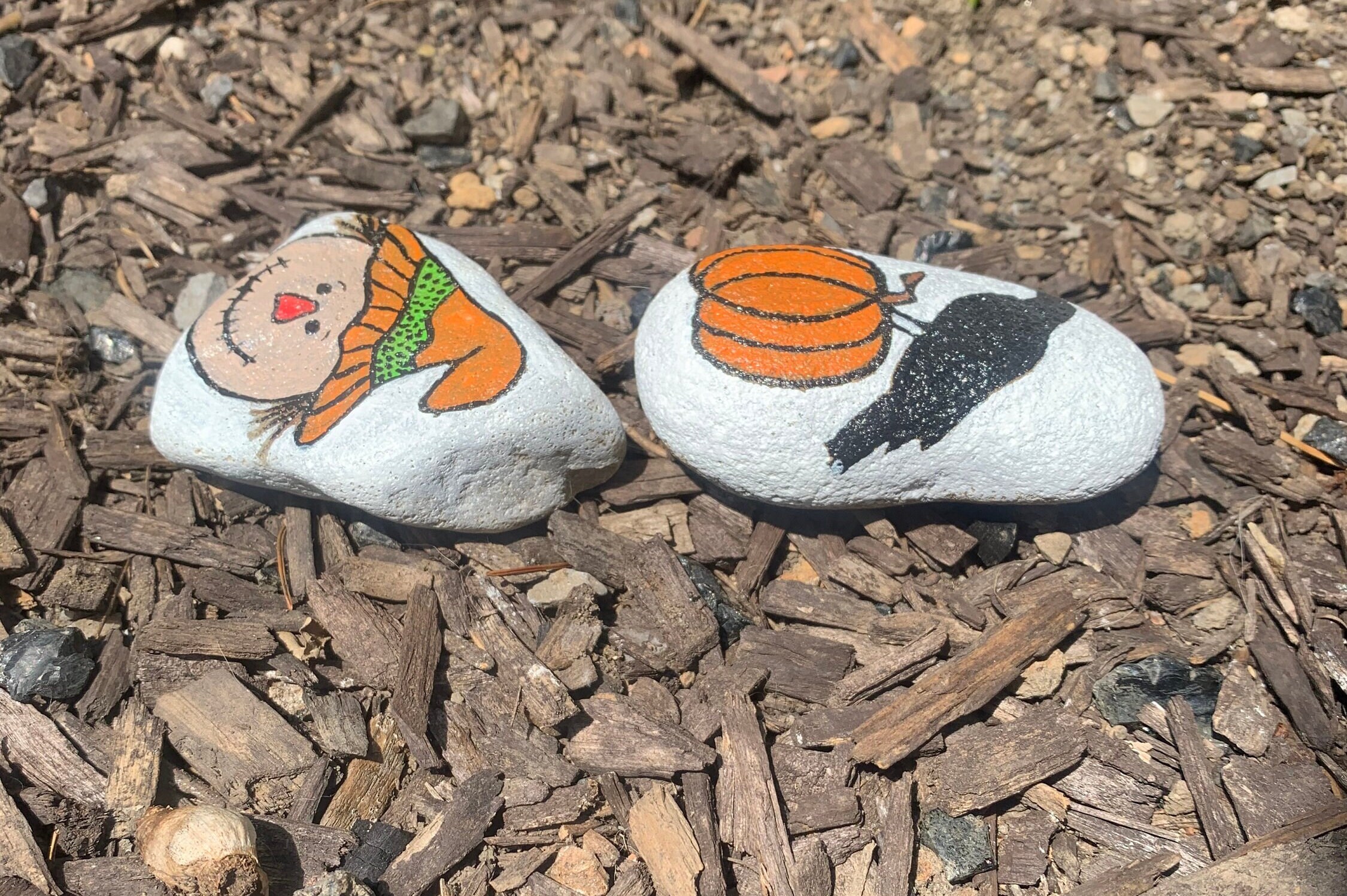 Scarecrow and Raven Crow Pumpkin, Hand Painted Rock Set of 2, Autumn ...