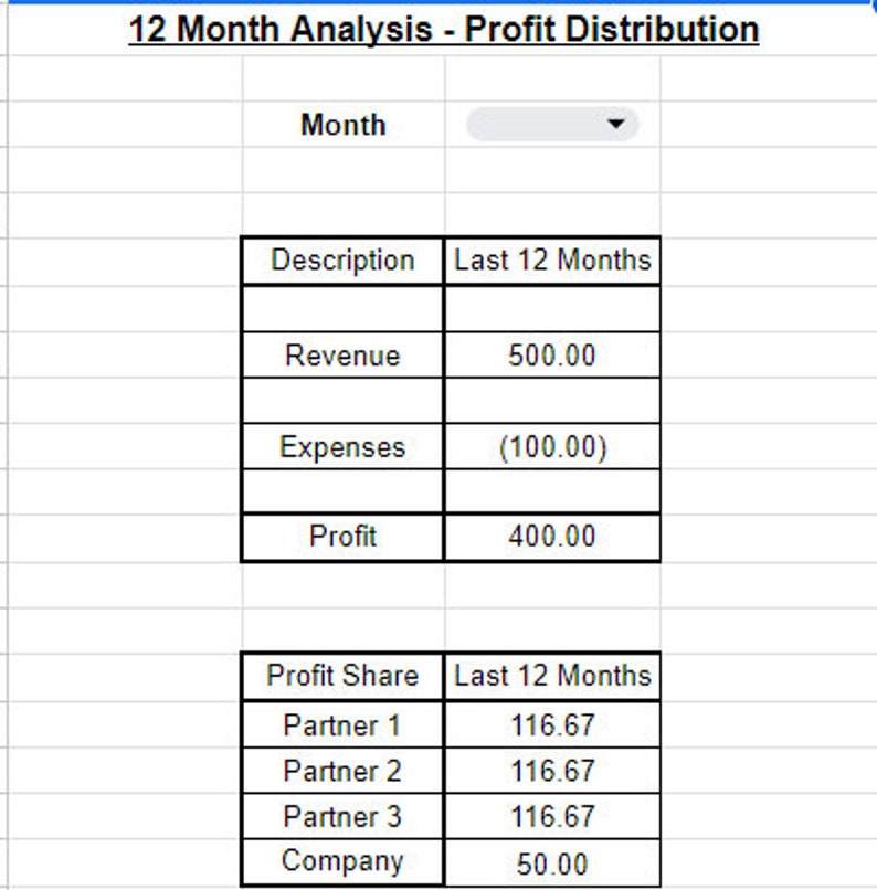 P&L, Cashflow, Profit Distribution, Revenue and Expense Analysis ...