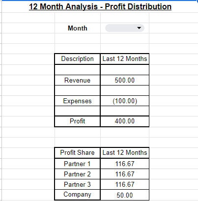 P&L, Cashflow, Profit Distribution, Revenue and Expense Analysis ...