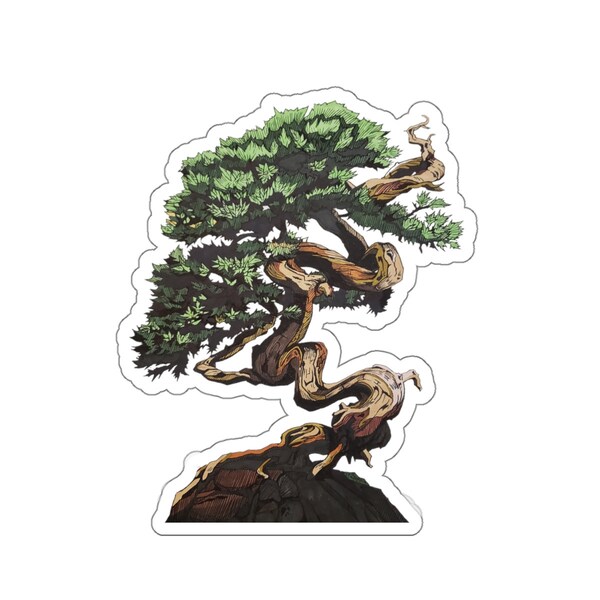 Bonsai - Etsy