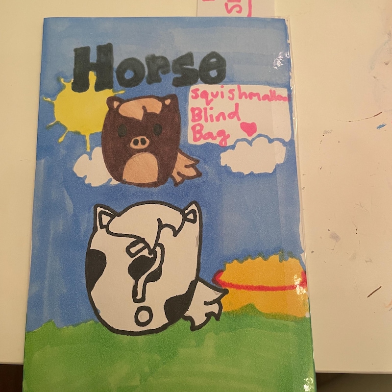Blind Bag Ideas - Etsy