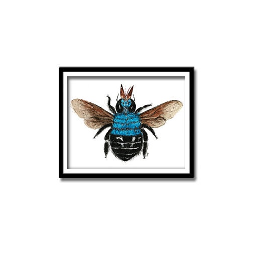 Blue Bee Art Print: Original Ink and Watercolor Illustration, 8x10 Bugs ...