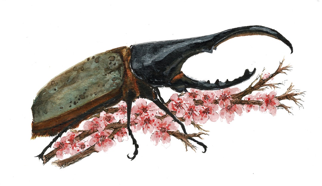 Fine Art Print of "hercules" 8x10 Original Ink and Watercolor ...