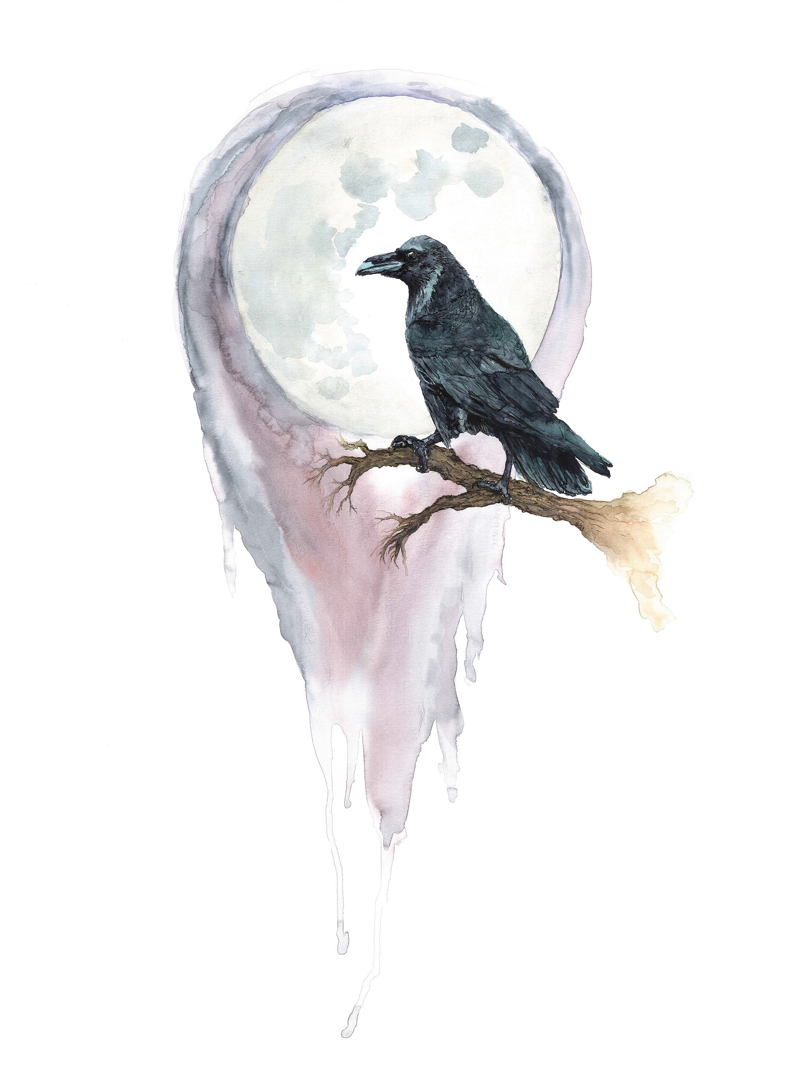 Fine Art Print of "crow & Moon" 12'x16' Original Ink and Watercolor ...