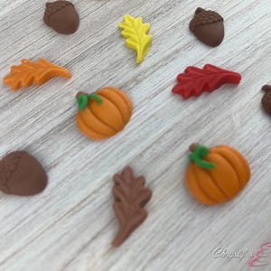 Edible Fall Themed Toppers - Set of 12 - Cake And/or Cupcake Toppers ...