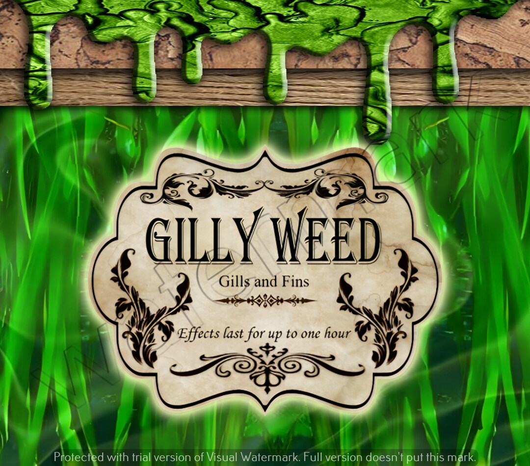 Harry Potter Gilly Weed Custom Made 20 Oz Skinny Stainless - Etsy