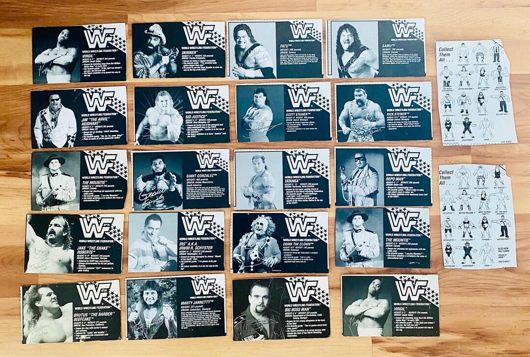 Lot of 20 WWF Hasbro Figure Bio Cards Rare Series 9 Purple Cards Rare ...