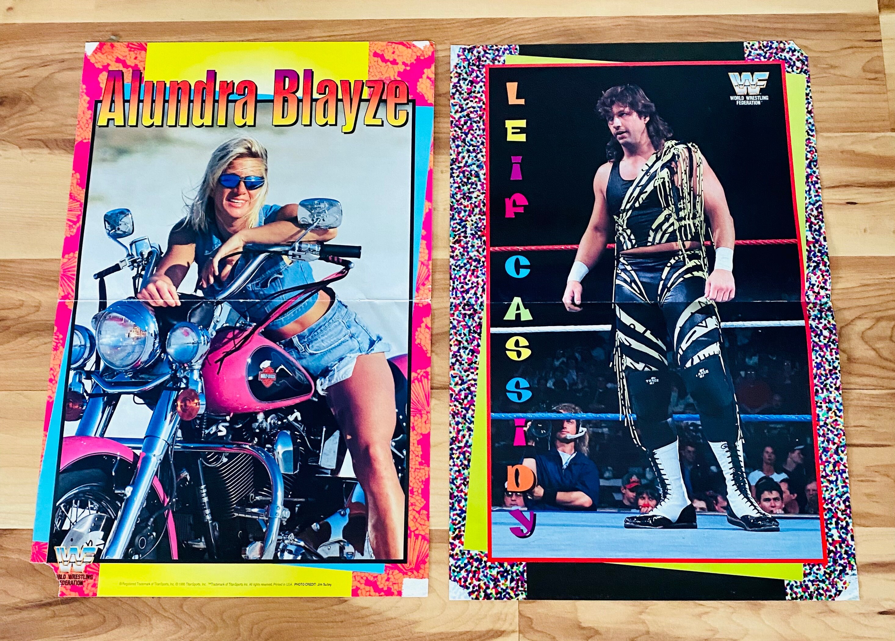 WWF Magazine Wrestling Posters Bundle WWE 1995 Insert 6 Original ...